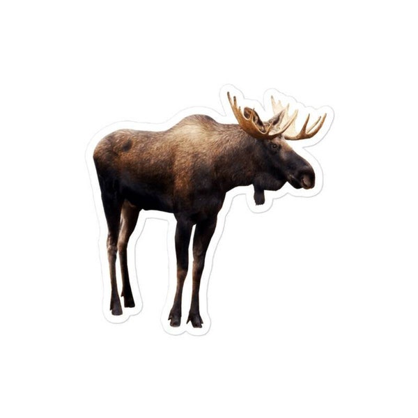 Moose Sticker - Etsy