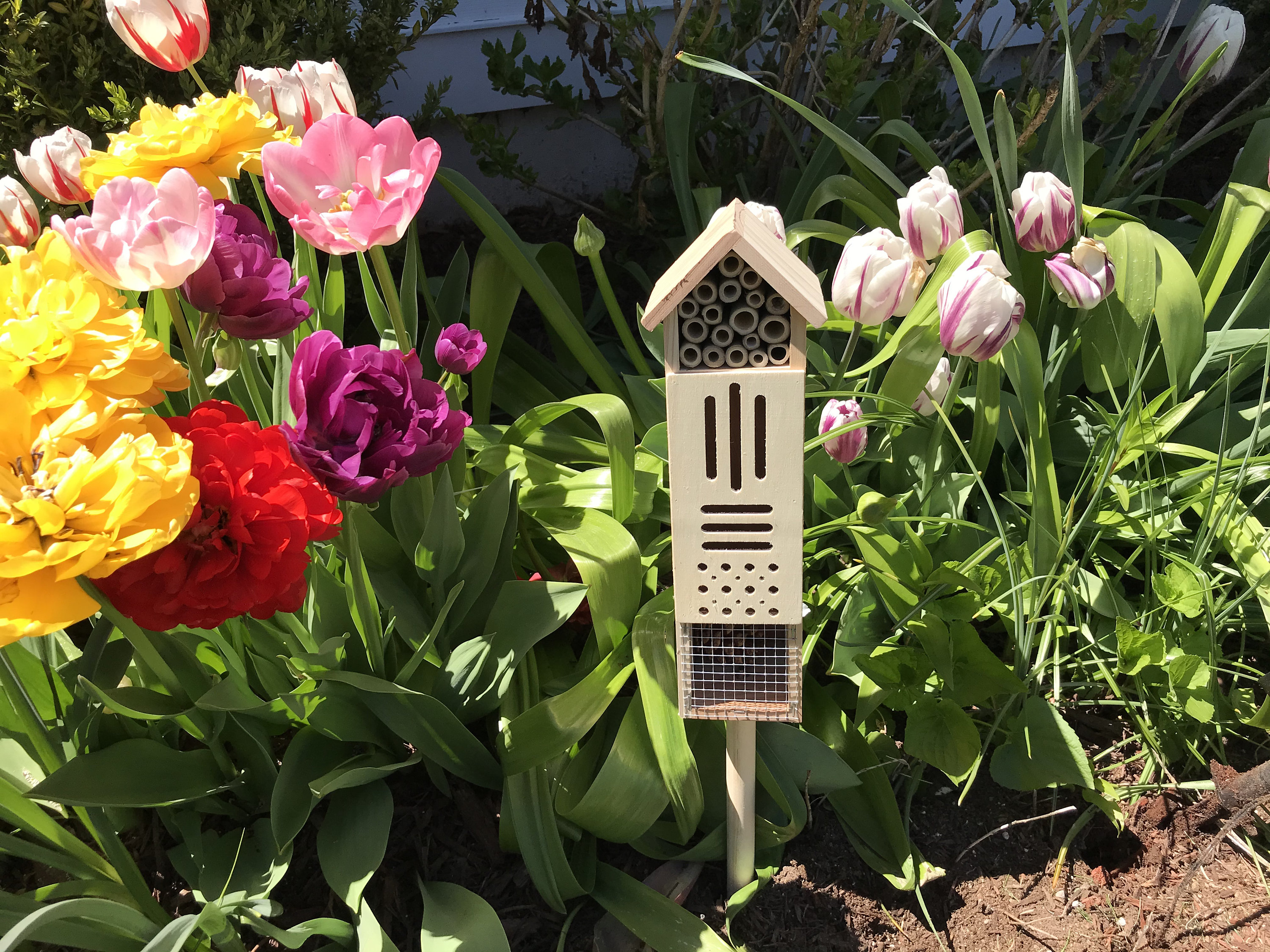 Pollination Castle Large Wooden Bee's Butterflies | Etsy