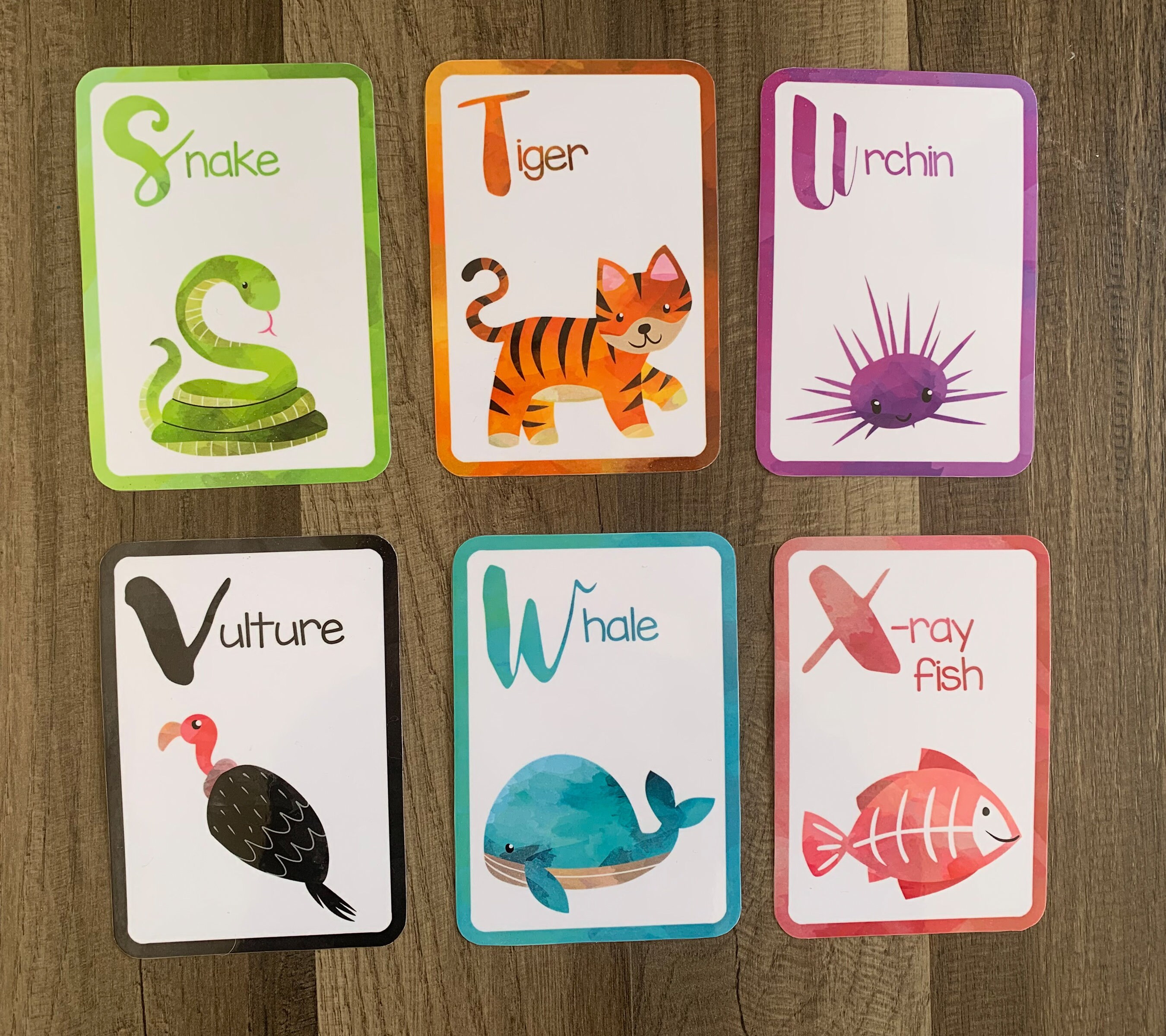 Animal Alphabet Flash Cards - Learning Flashcards - Preschool Toddler ...