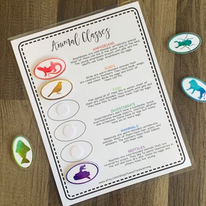 Animal Classes - Classification - Science STEM - Preschool Learning ...