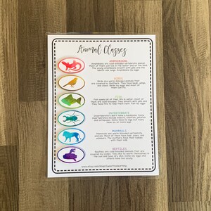 Animal Classes - Classification - Science STEM - Preschool Learning ...