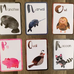 Animal Alphabet Flash Cards - Learning Flashcards - Preschool Toddler ...