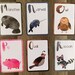 Animal Alphabet Flash Cards Learning Flashcards Preschool Toddler Baby ...