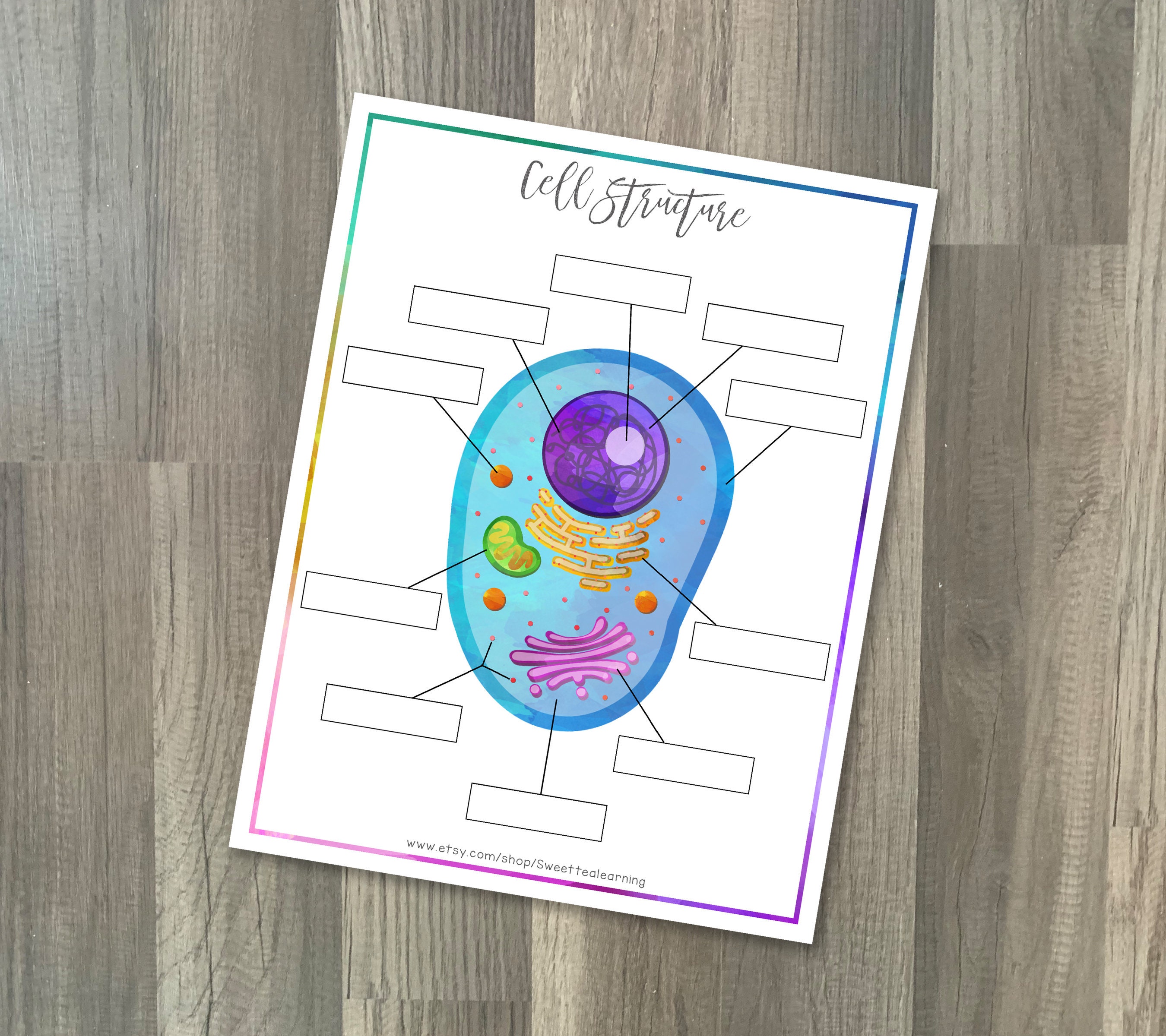 Cell Structure Labeling Sheet Science Biology Microbiology | Etsy