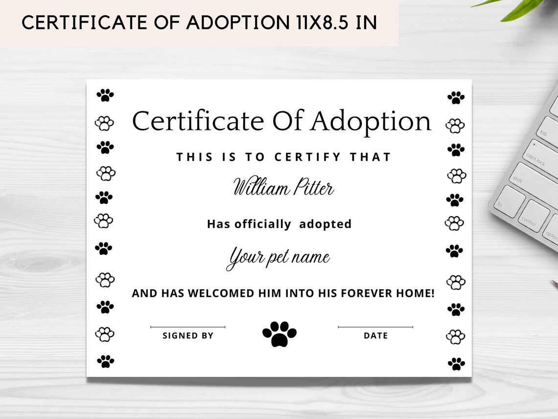 Editable Certificate of Adoption Animal Pet Adoption - Etsy