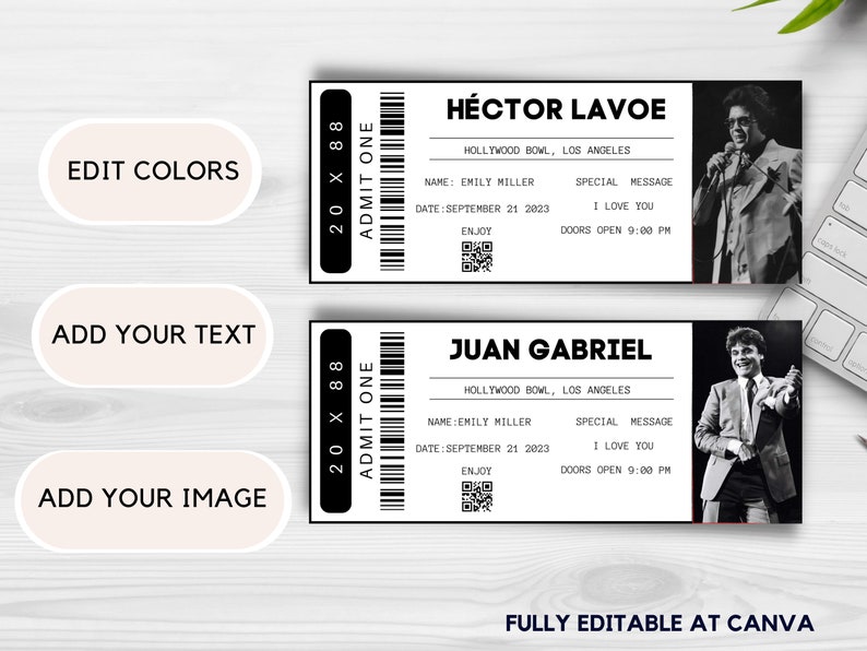 Editable Concert Ticket Template Printable Music Event - Etsy