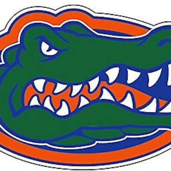 Florida Decal - Etsy