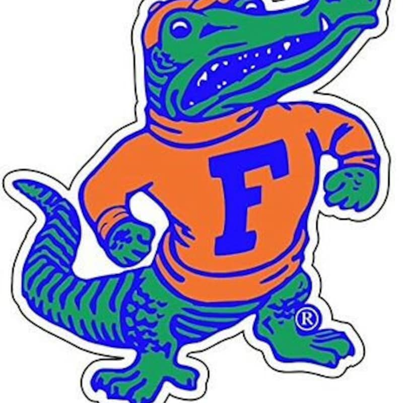 Florida Decal - Etsy