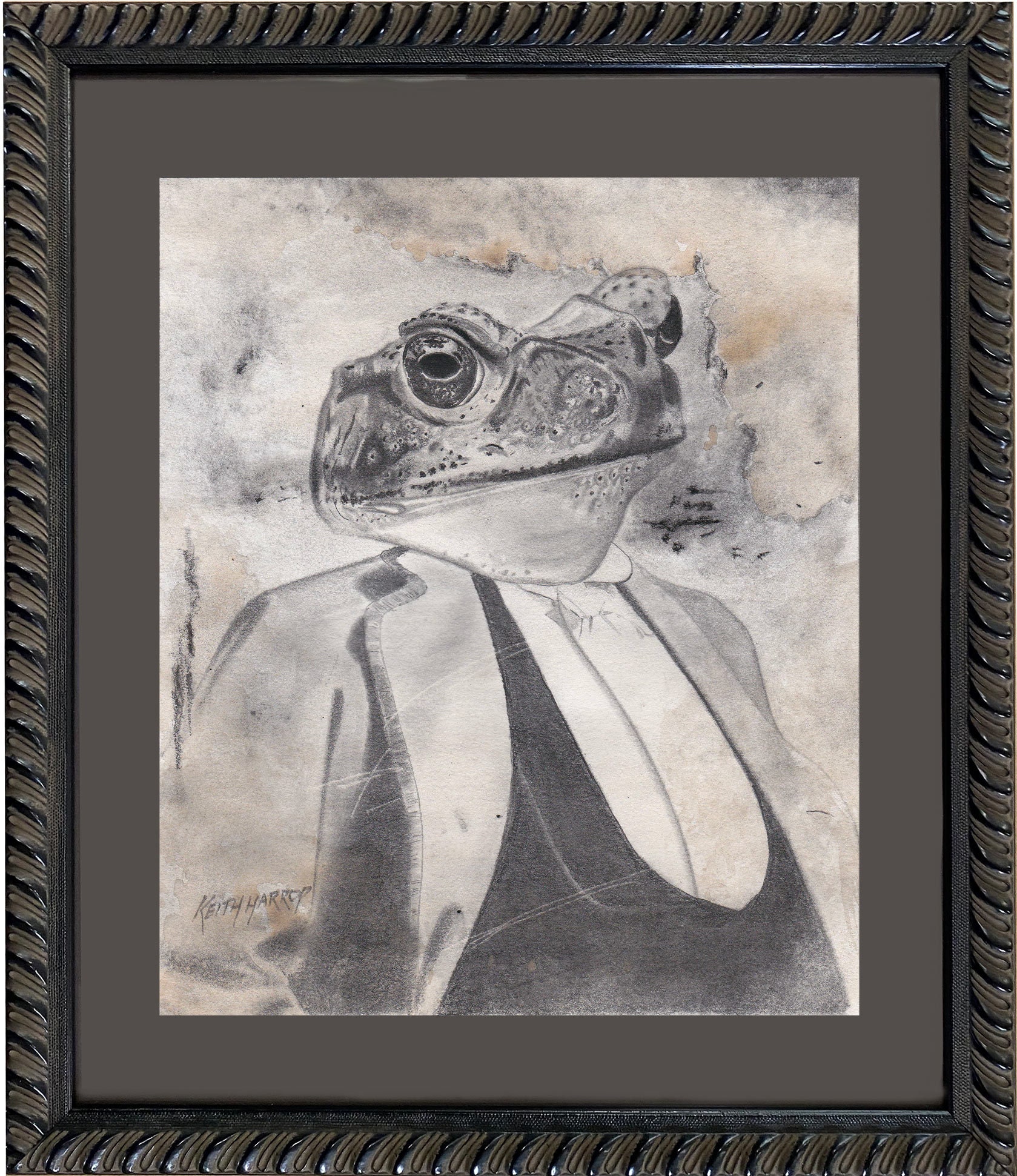 Toad. Original Pencil Art and Signed Prints. #6 Victorian Animal Art ...