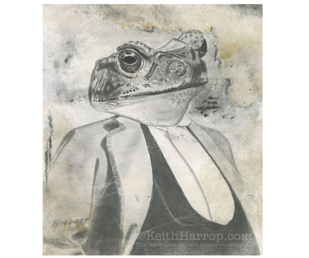 Toad. Original Pencil Art and Signed Prints. #6 Victorian Animal Art ...