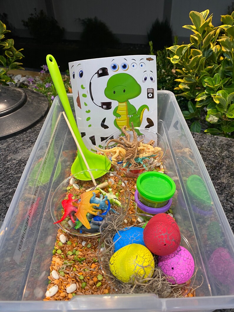 Dinosaur Sensory Bin | Etsy
