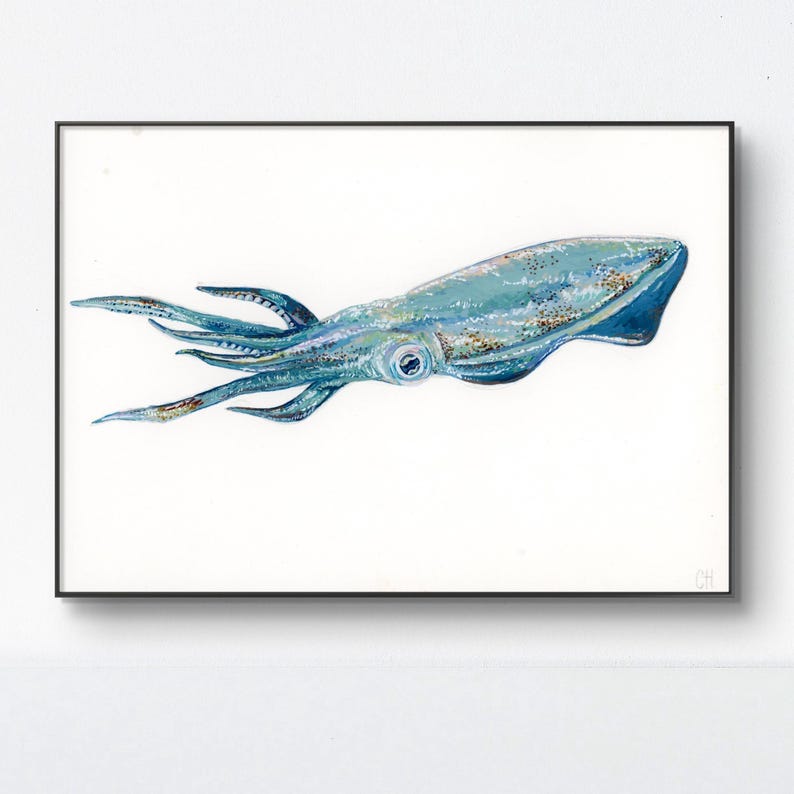 Giant Squid Digital Signed Print - Etsy
