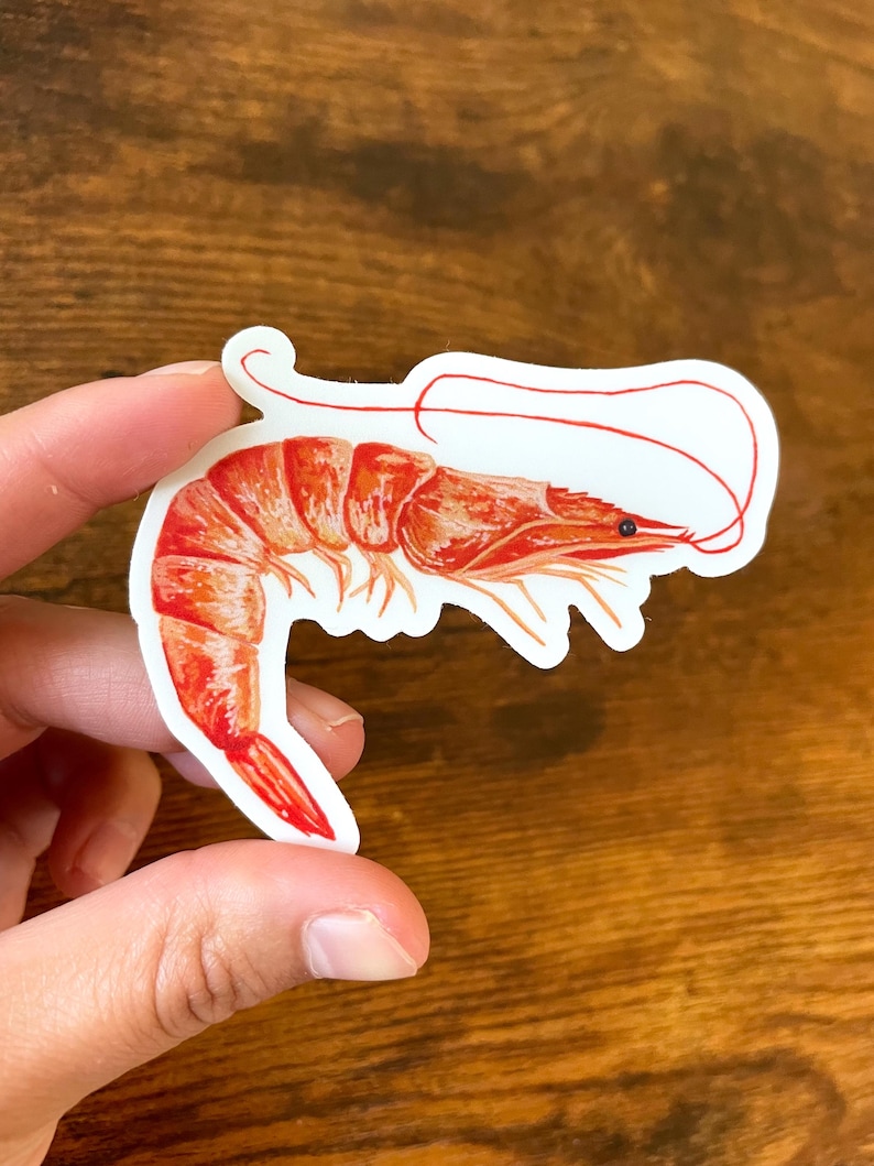 Shrimp Sticker - Etsy