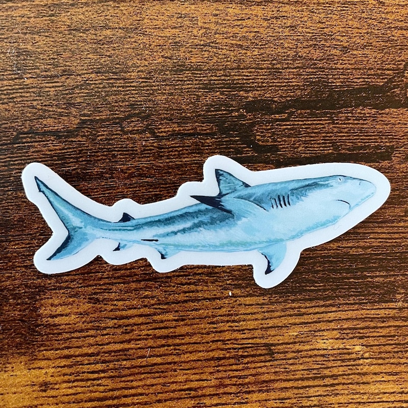 Shark Wall Sticker - Etsy