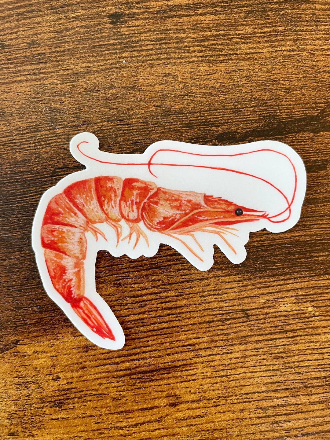 Shrimp Sticker - Etsy
