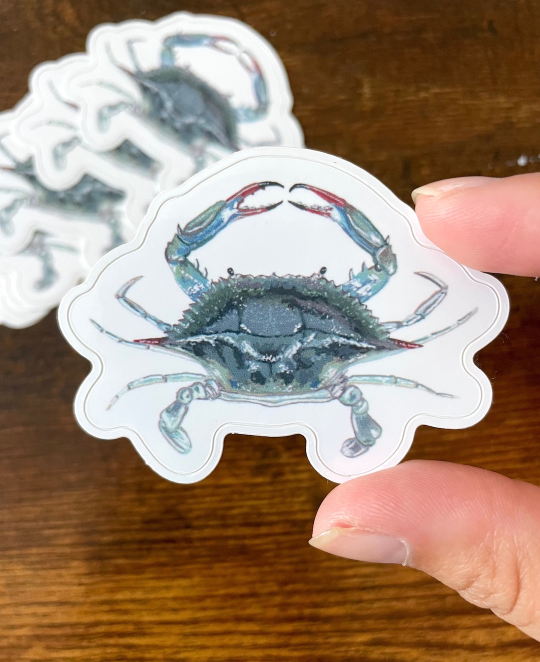 Blue Crab Sticker - Etsy
