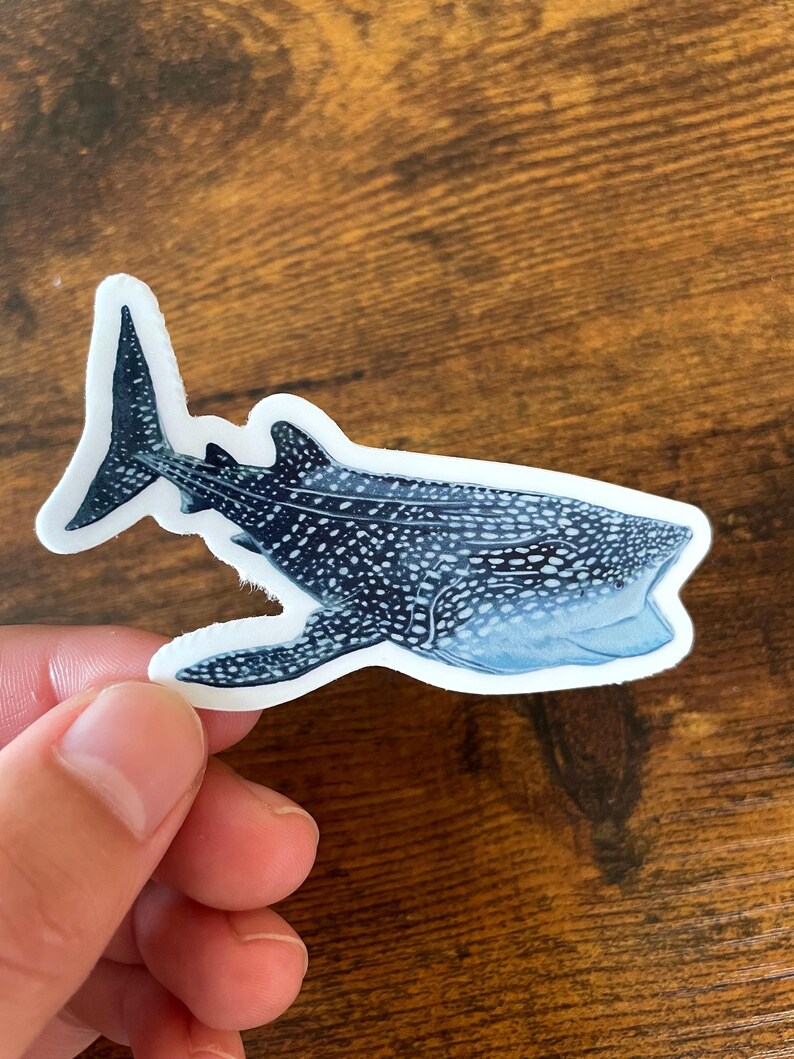 Whale Shark Sticker - Etsy