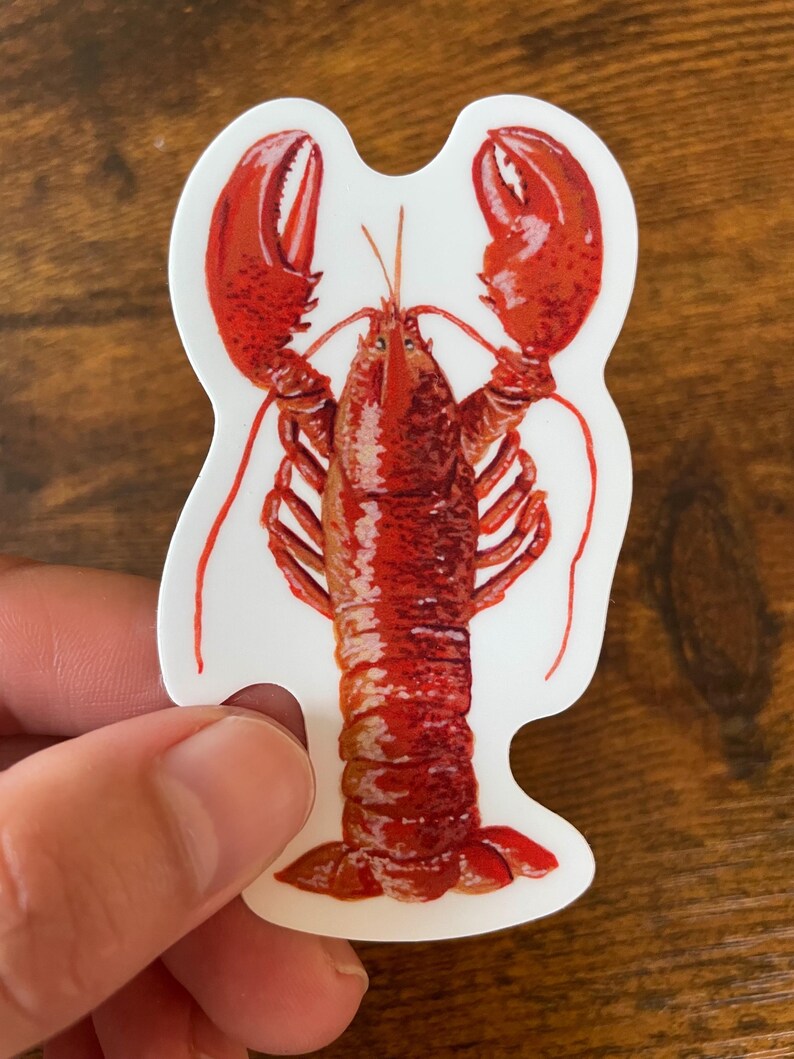 Lobster Sticker - Etsy