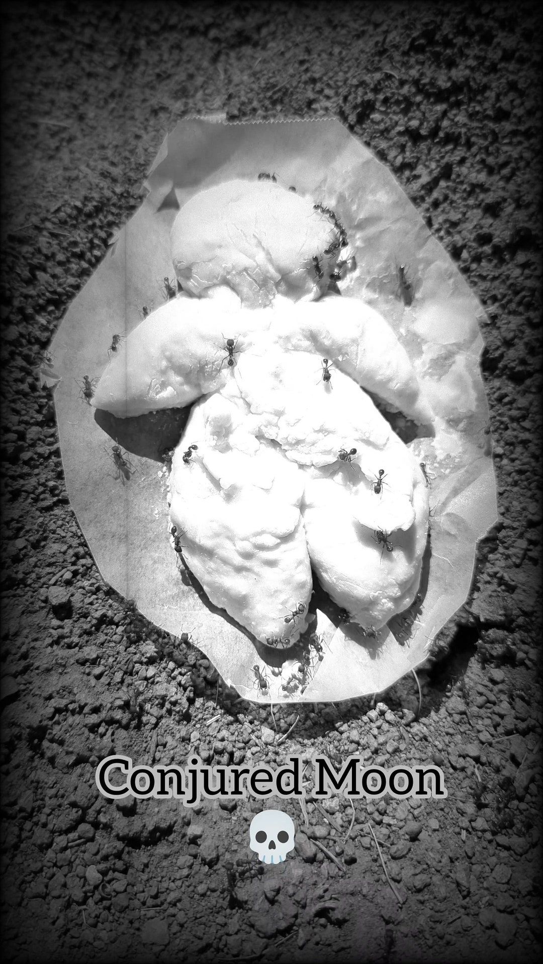 The Dough Poppet Curse, Ant Curse, Poppet Curse, Enemy Curse, Revenge ...