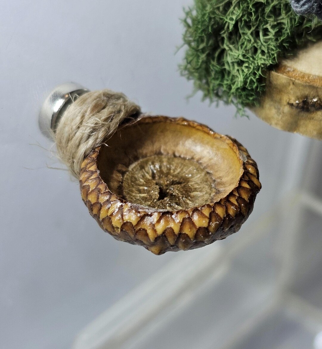 Jumping Spider Magnetic Acorn Ledge/hide (multiple Style) - Etsy