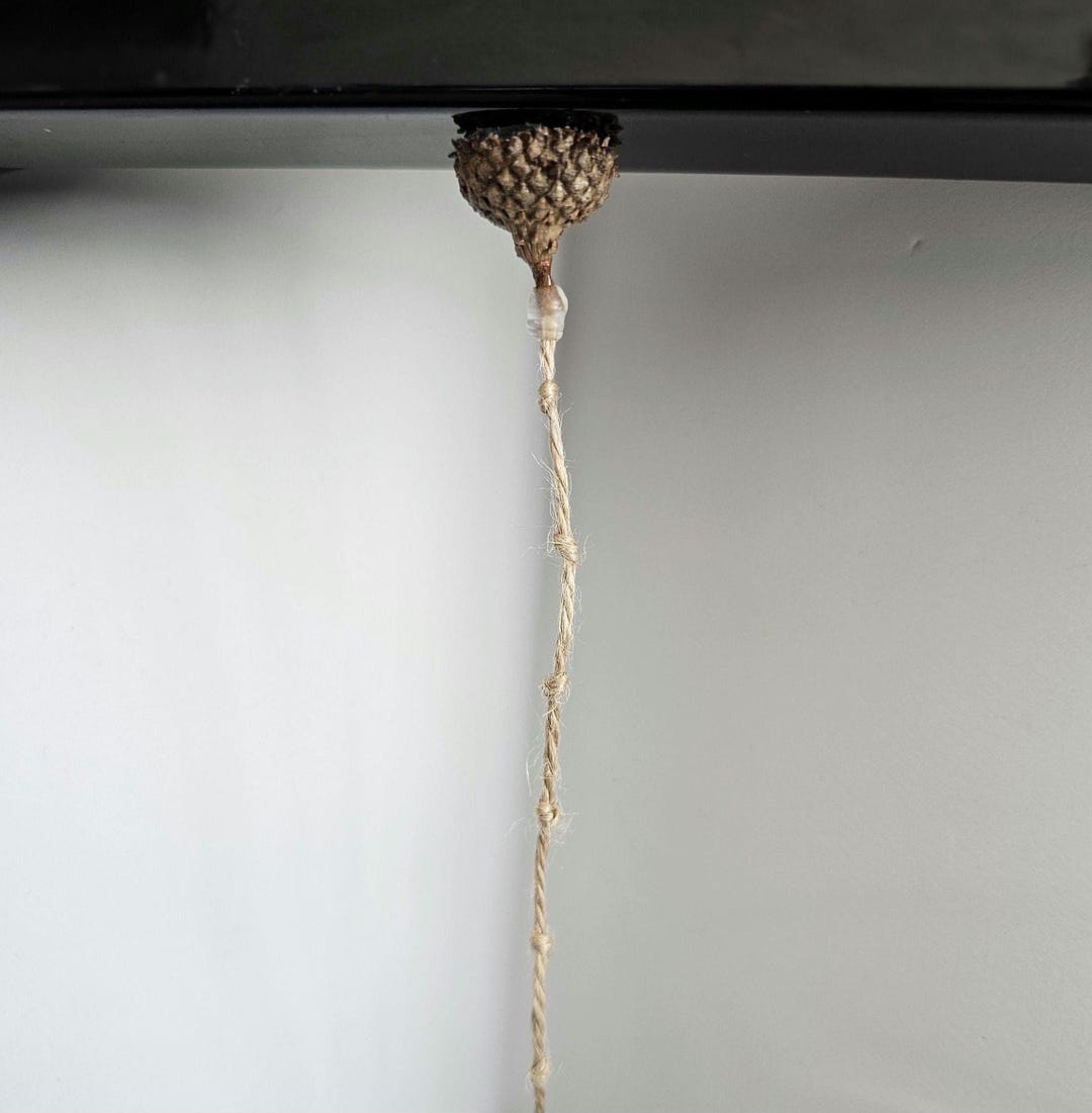 Acorn Jungle Rope | Jumping Spider **magnetic & Moveable** - Etsy