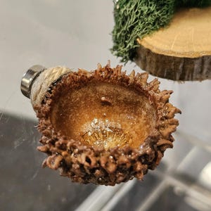 Jumping Spider Magnetic Acorn Ledge - Etsy