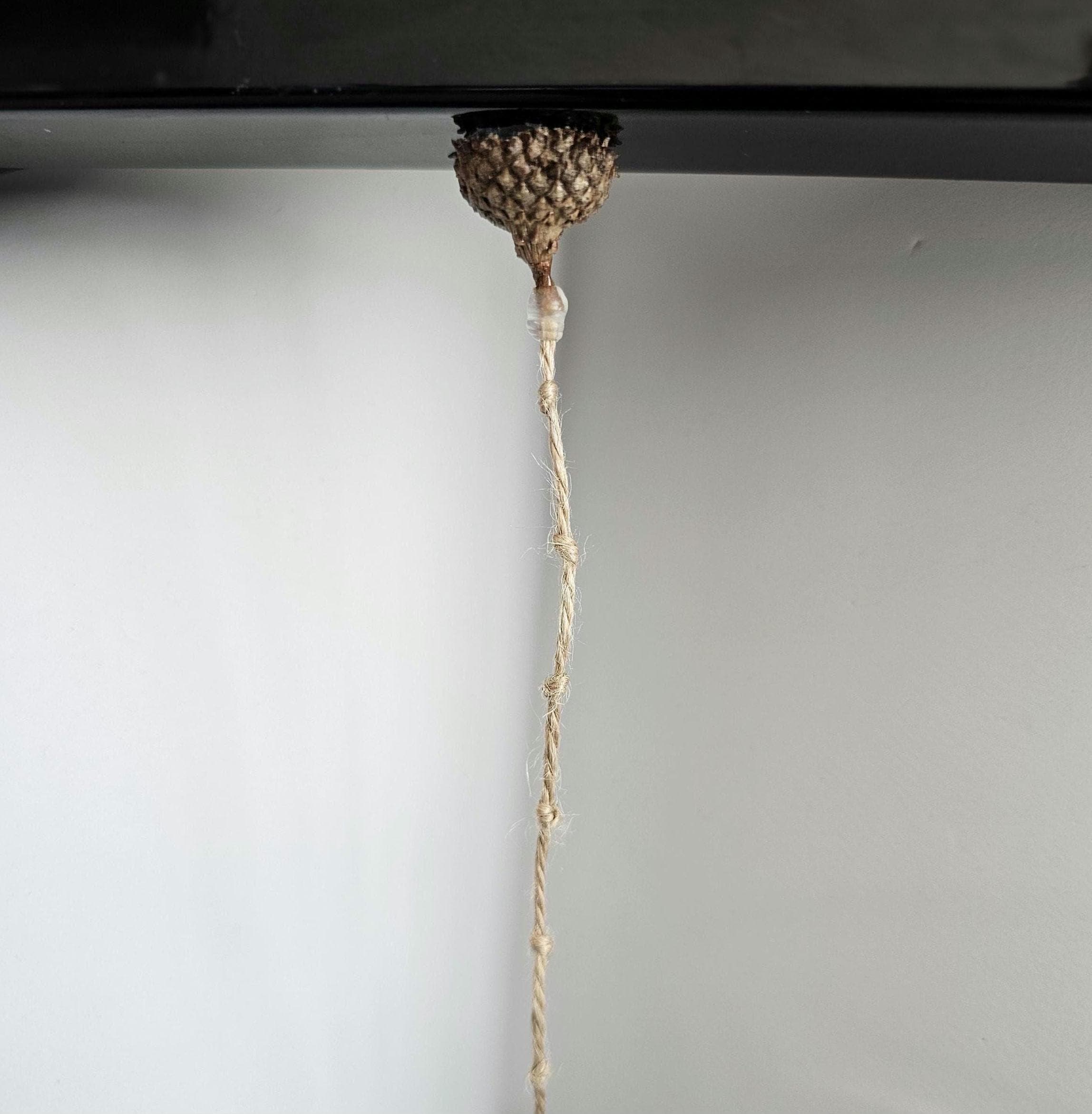 Acorn Jungle Rope | Jumping Spider **magnetic & Moveable** - Etsy
