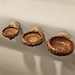 Jumping Spider Magnetic Acorn Ledge/hide - Etsy Canada