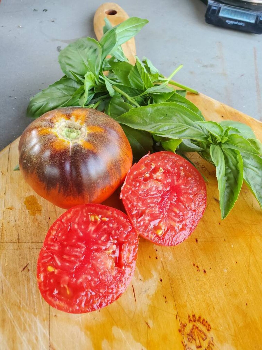 20x Thunder Mountain Tomato Seeds - Etsy