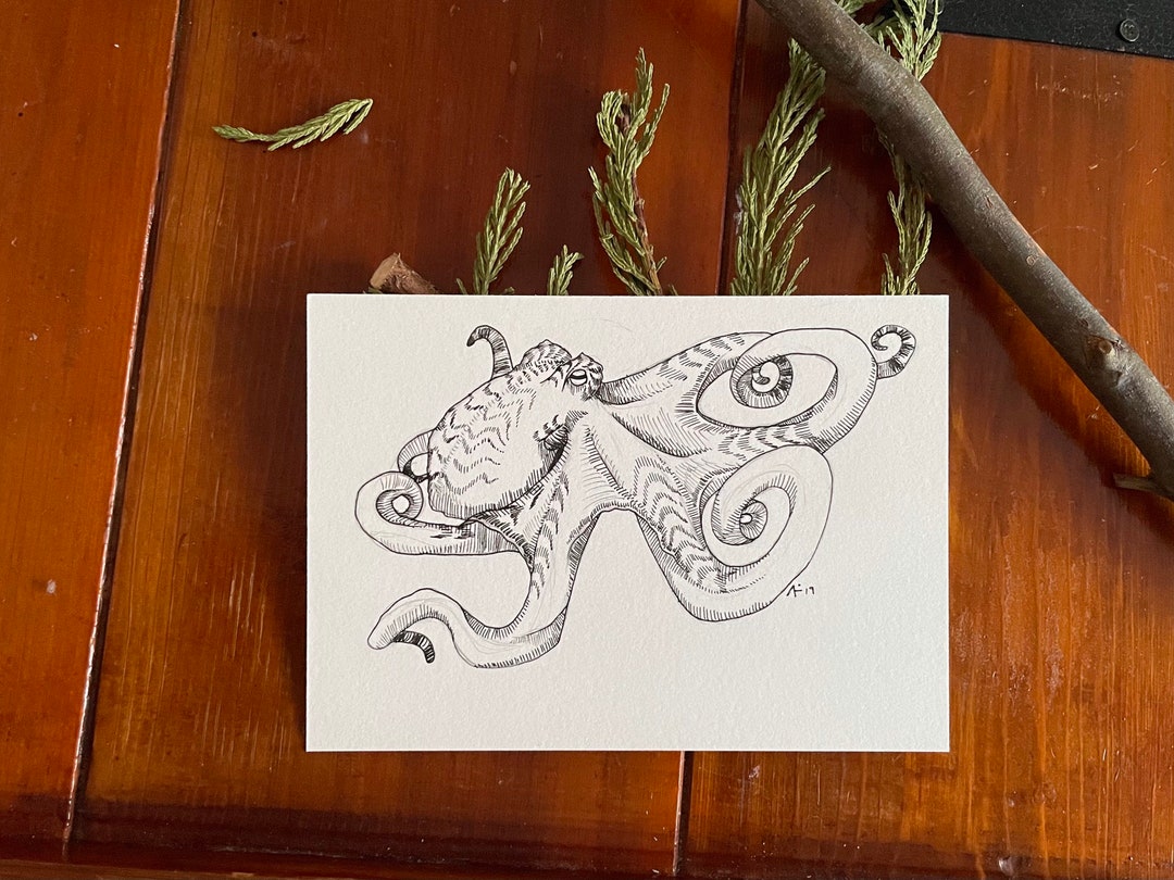 Banded Octopus Miniature original - Etsy