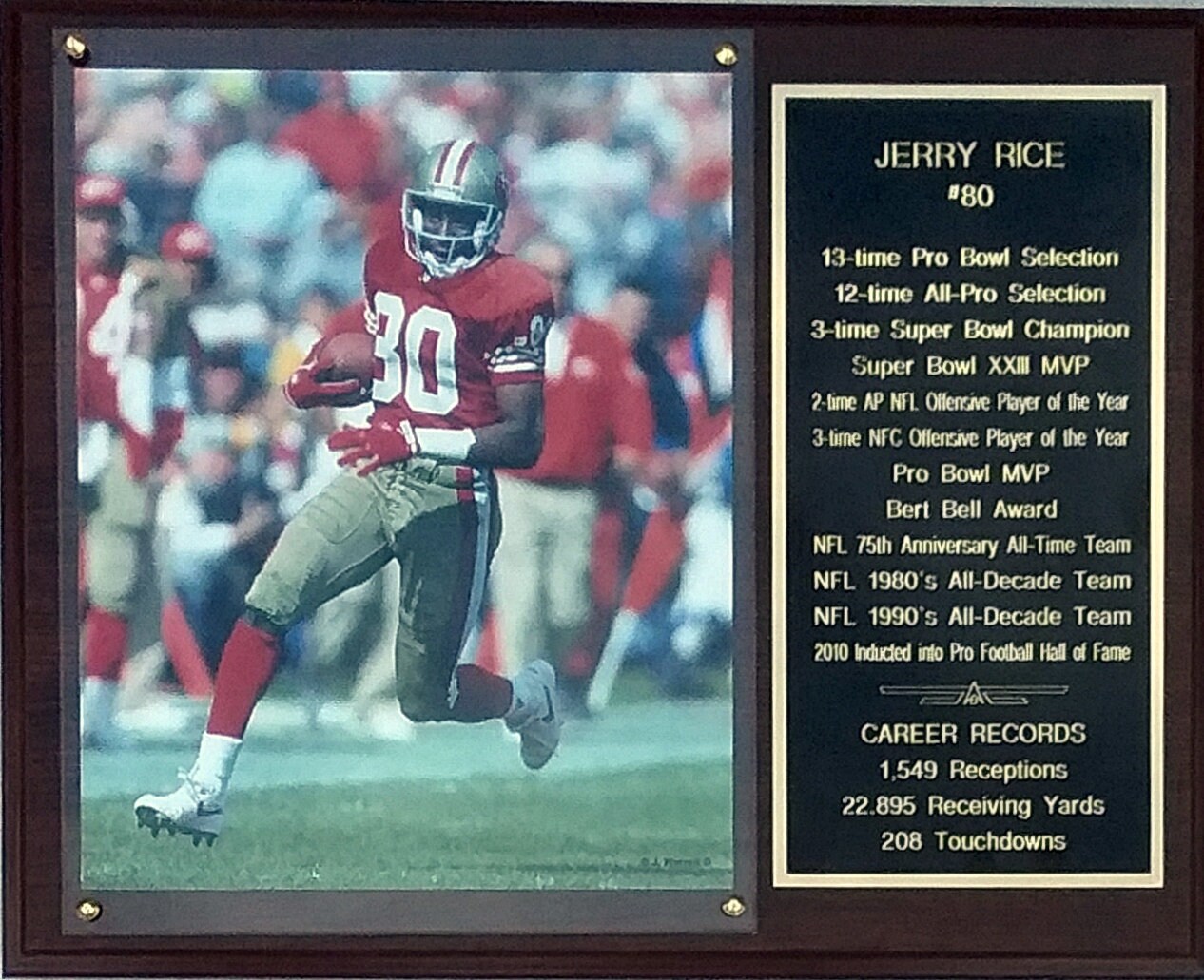 Jerry Rice San Francisco 49ers 12x15 Stats Plaque - Etsy