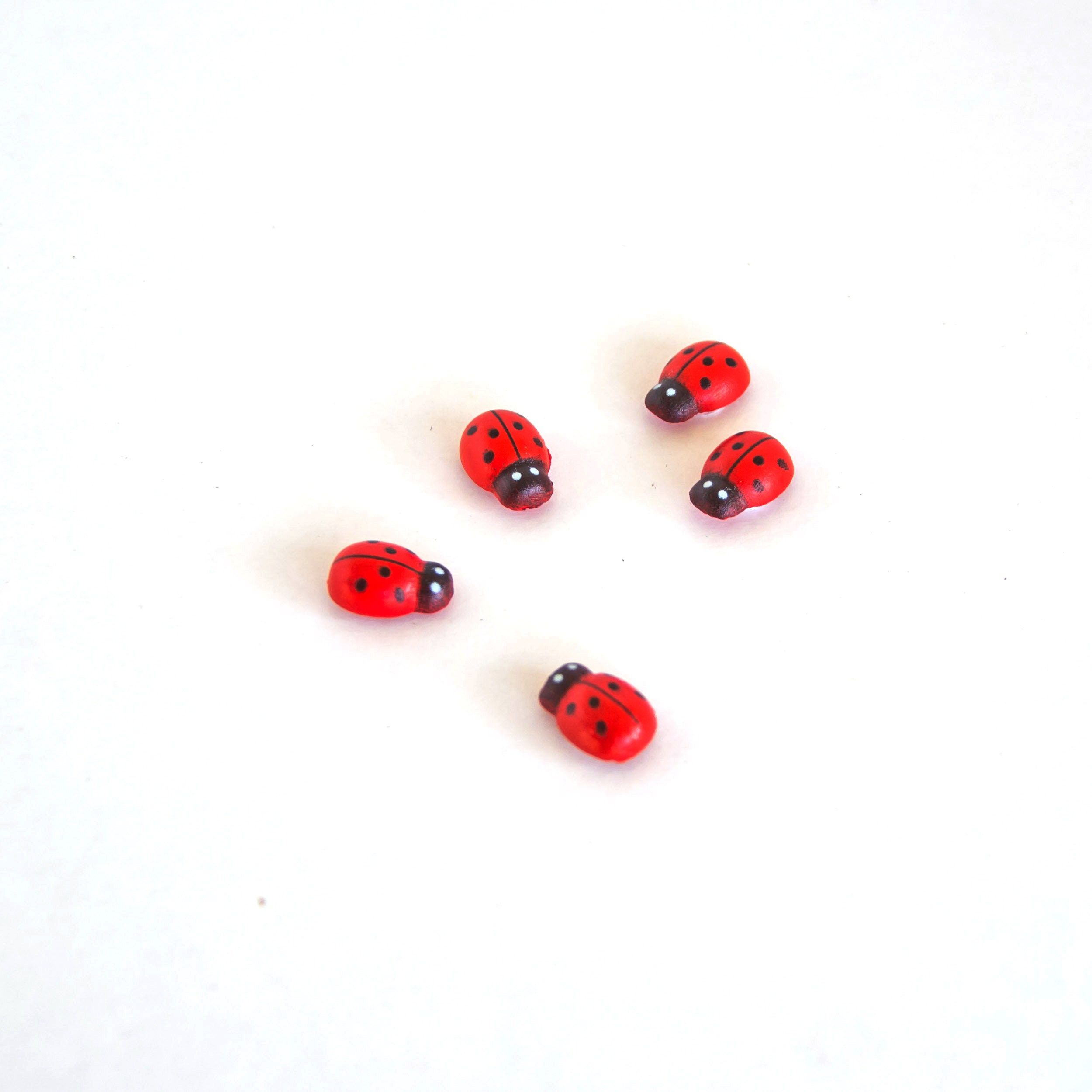 5 Fairy miniature lady bug Fairy garden accessories Fantasy | Etsy