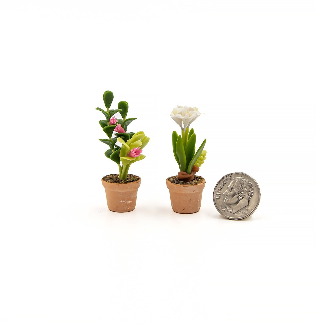 2 Dollhouse Plants Realistic Miniatures - Etsy