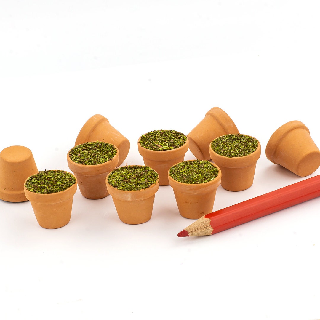 10 Miniature Terracotta Plant Pots Dollhouse Plants - Etsy