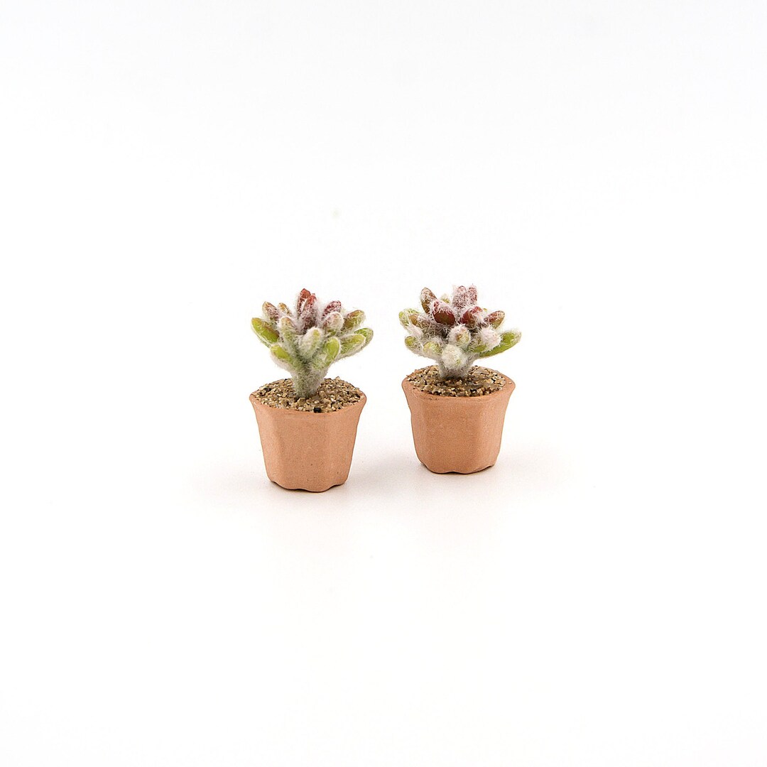 2 Miniature Cactus Props Replica - Etsy