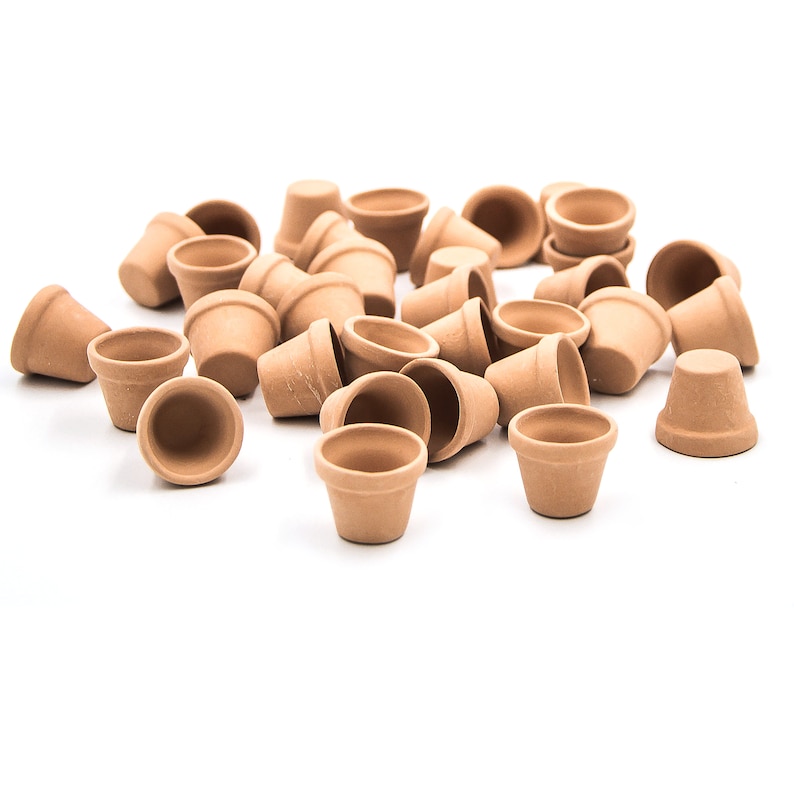 10 Miniature Plant Pots Terracotta Planter | Etsy