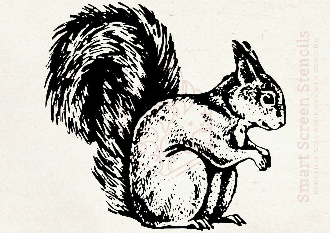 Hand Drawn Squirrel Silkscreen Stencil - Reusable, Selfadhesive ...