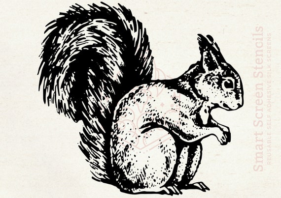 Hand Drawn Squirrel Silkscreen Stencil Reusable | Etsy