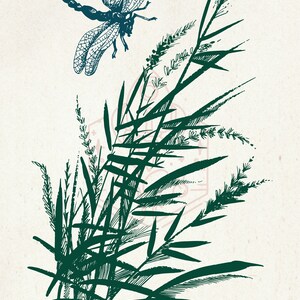 Reeds and Dragonfly Silkscreen Stencil - Reusable, Adhesive - Canvas ...