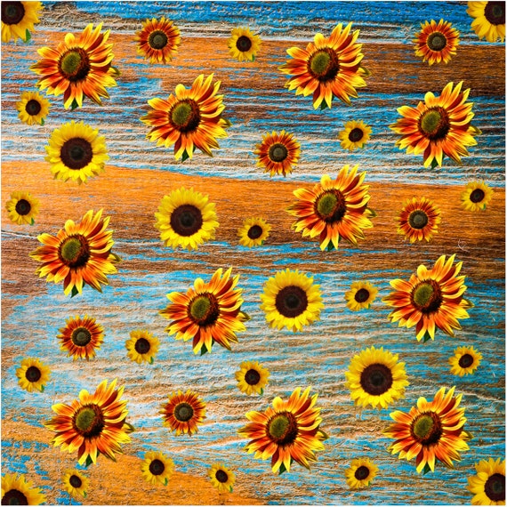 Rustic Wood Sunflower Background/ Wood Sunflower Digital Paper | Etsy
