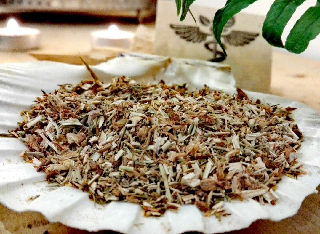 St. John's Wort, St. John's Root, Hypericum Perforatum - Etsy UK