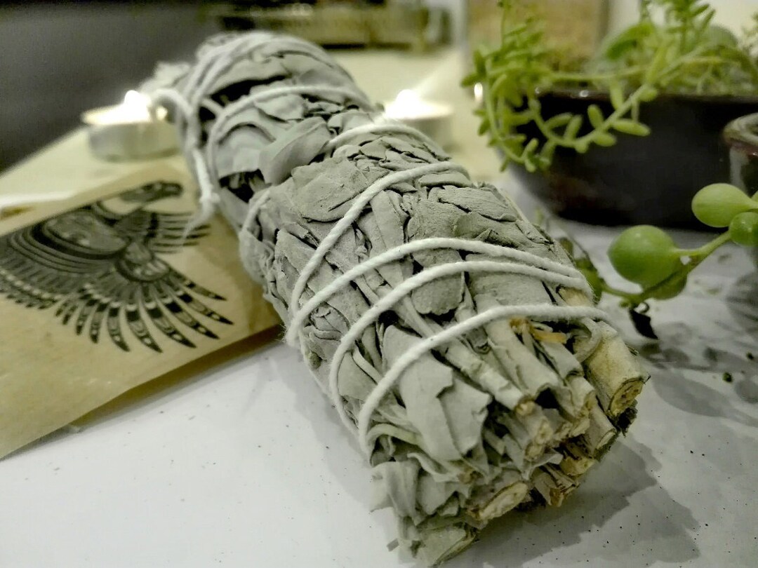 White Sage Stick Purification 30g - Etsy