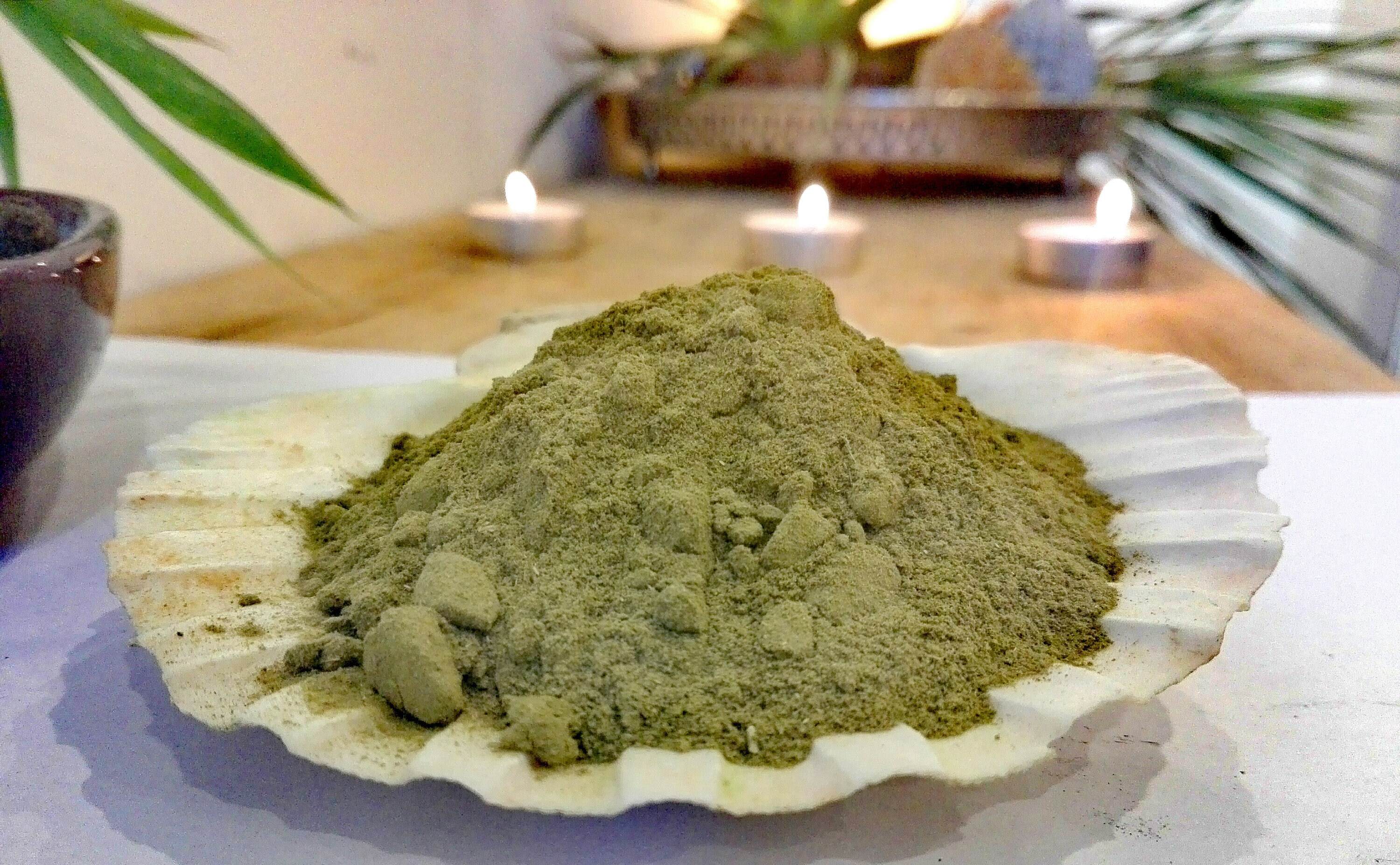 Organic Eucalyptus Powder 50g/2oz Eucalyptus Globulus - Etsy UK