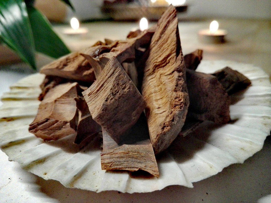 Oud Wood 10g Agarwood Calambac Aetoxylon - Etsy UK