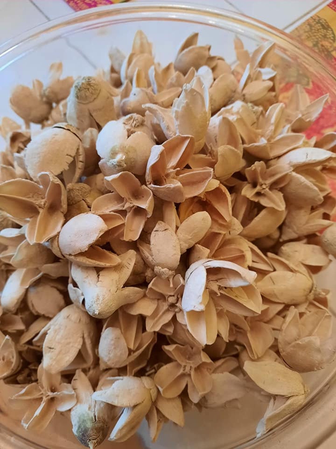 BOTANICAL-BAKULI Pods-craft-resin-jewelry Making-enchantments ...