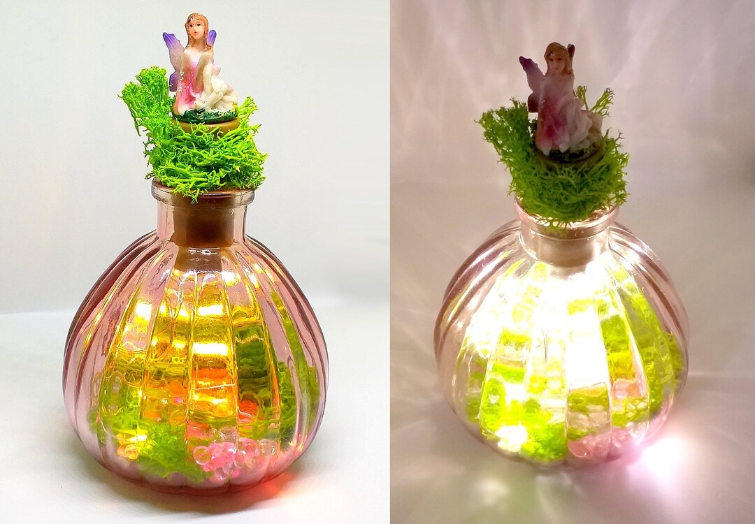 Do You Know How to Catch Fireflies...? Yes! I Caught a FIREFLY ...