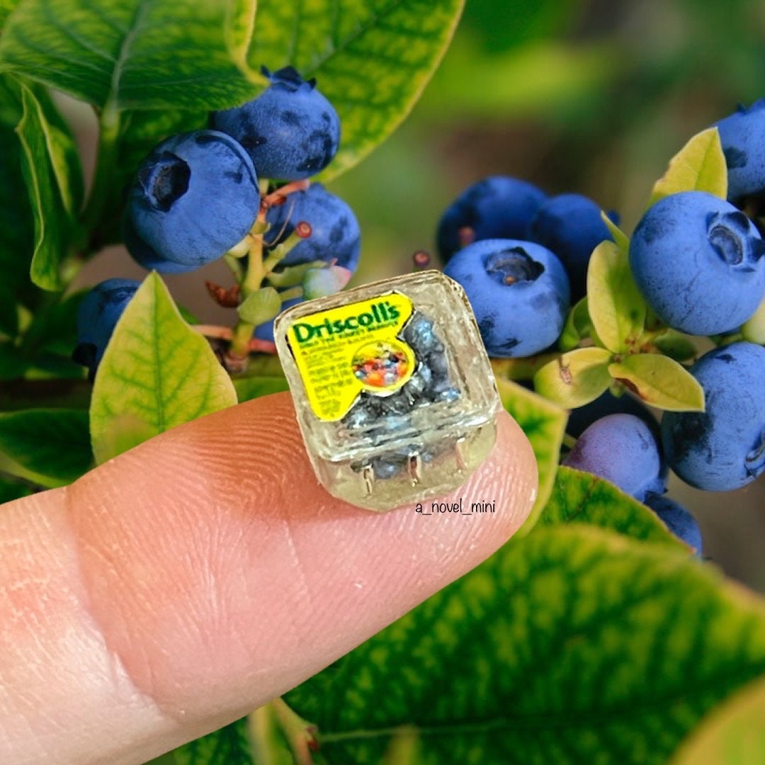 Dollhouse Fruit- 1:12th Scale- Dollhouse Kitchen- Dollhouse Furniture ...