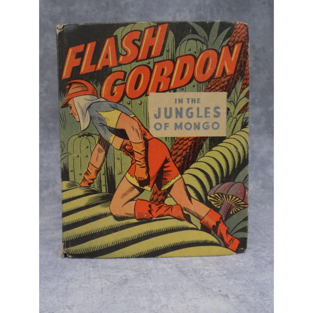 Flash Gordon in the Jungles of Mongo Big Little Books - Etsy