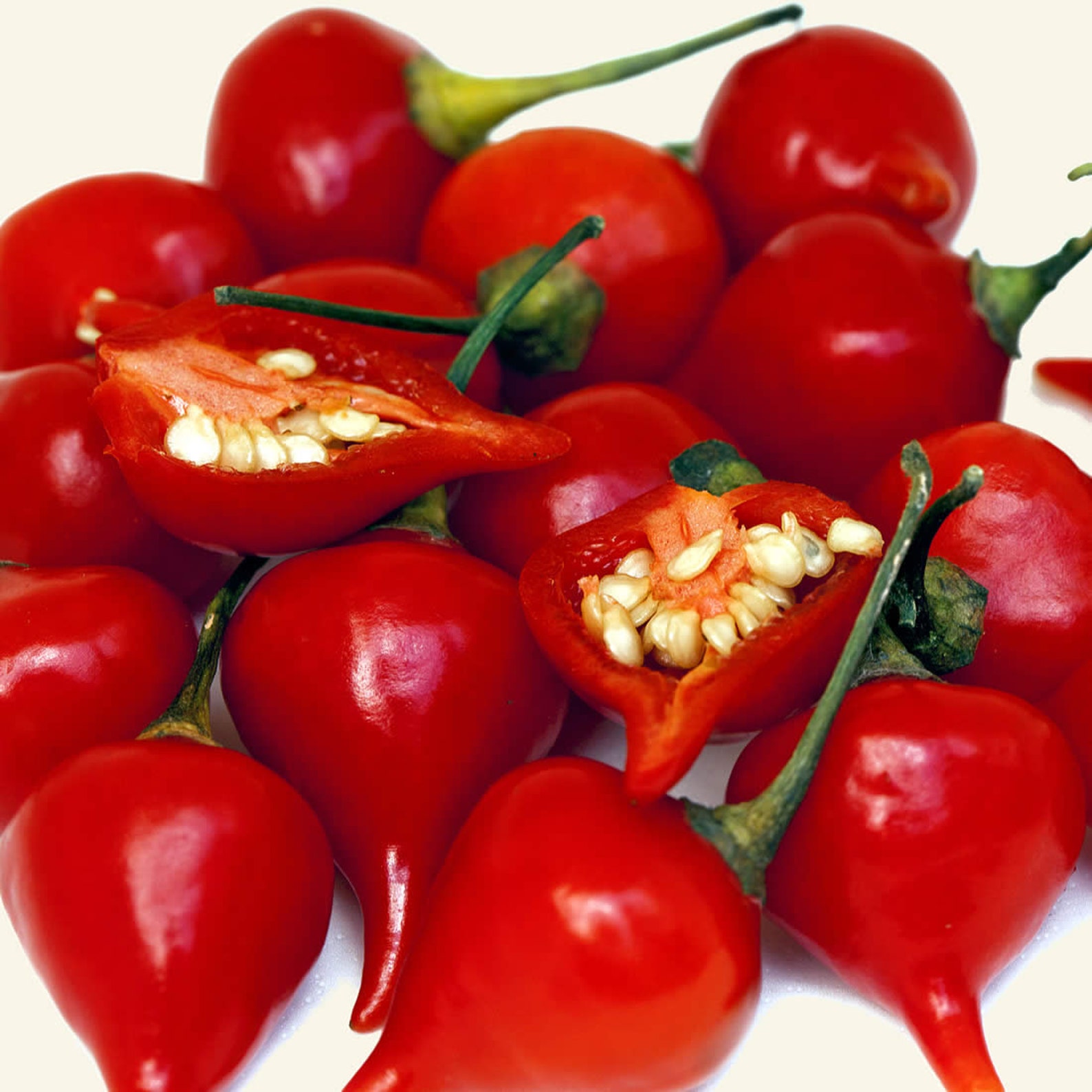 Red Biquinho Hot Pepper Little Beak Pepper plant matured | Etsy