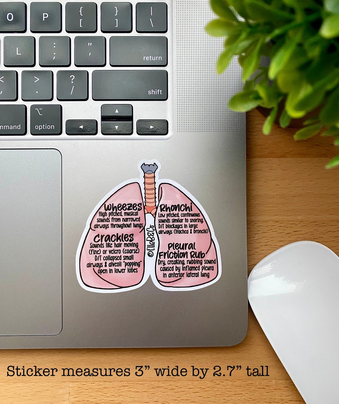 Lung Sounds Sticker | Hand Drawn | Water Resistant Vinyl Sticker - Etsy